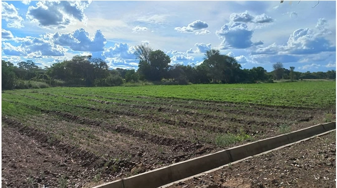 Irrigation schemes for pastures – Zim Sentry